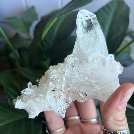 Cosmic Connections | Nashville, TN