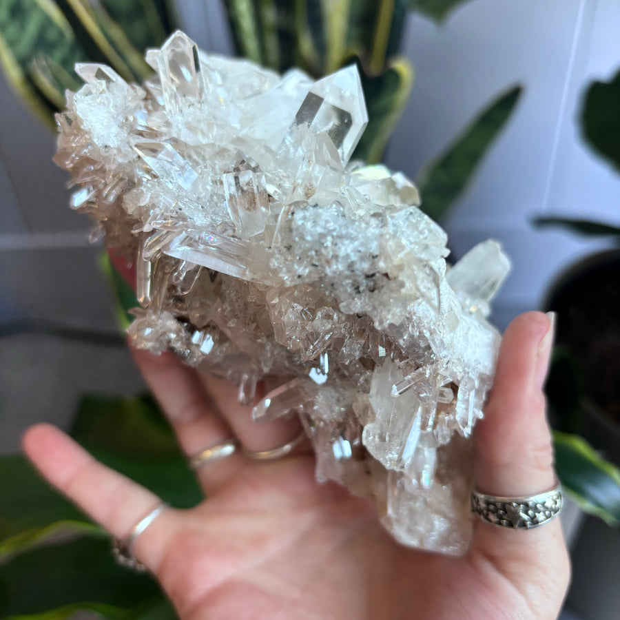 Cosmic Connections | Nashville, TN