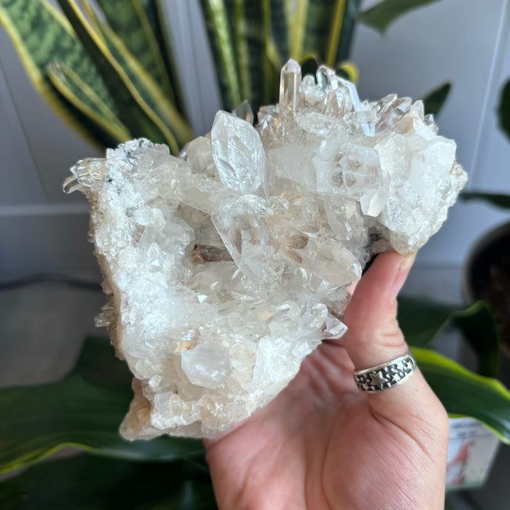 Cosmic Connections | Nashville, TN