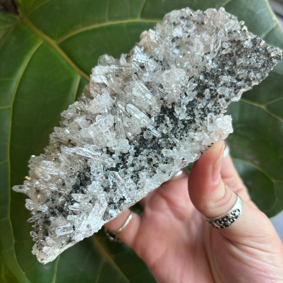 Cosmic Connections | Nashville, TN